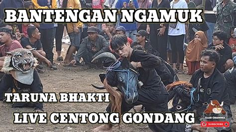 BANTENGAN NGAMUK TARUNA BHAKTI LIVE KLECO CENTONG GONDANG MOJOKERTO