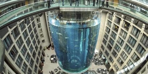 Explotó el acuario más grande del mundo hubo heridos y murieron 1500