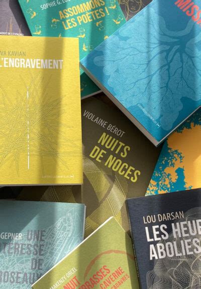 Notre journal de rentrée littéraire 2024 La contre allée