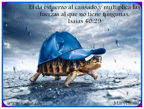Im Genes Cristianas Con Frases B Blicas De Fortaleza Para Compartir