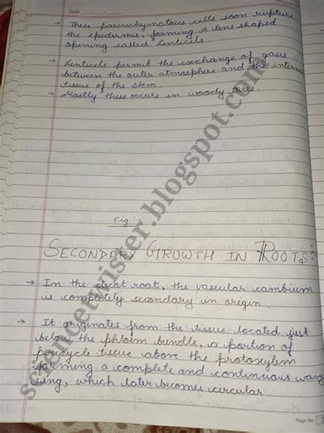 Anatomy Of Flowering Plants Class Notes Biology Kota Notes Artofit