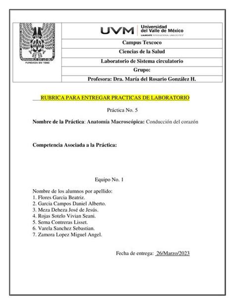 Sistema Circulatorio Beatriz F G UDocz