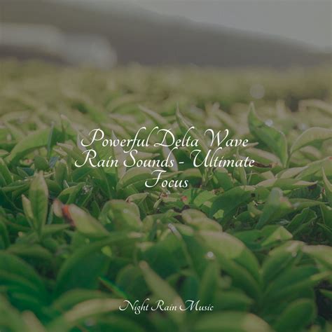 Shower Raindrops música e letra de White Noise Babies Rainfall For