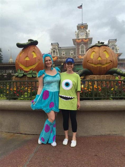Diy Adult Cinderella Costume