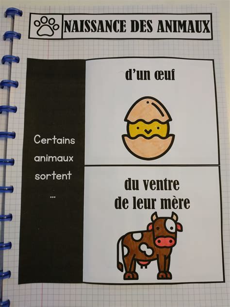 Cp Qlm Sciences Le Ons Manipuler Les Animaux
