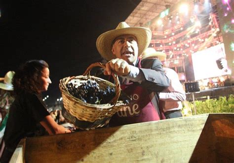 Las imágenes que dejó una nueva edición de la Fiesta de la Cosecha