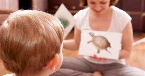 Método Doman De Aprendizaje Bits De Intelifgencia