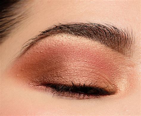 A Warm Neutral Look Featuring Urban Decay Naked Reloaded Temptalia