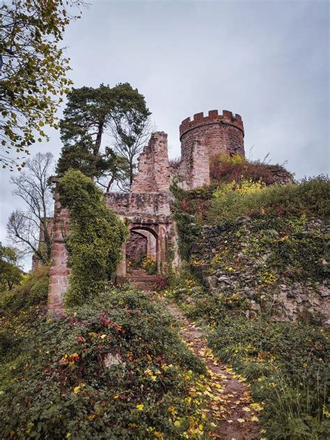 Randonnée aux 3 châteaux de Ribeauvillé en 2024 Randonnée Château