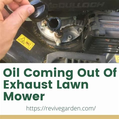 Oil Coming Out Of Exhaust Lawn Mower Causes And Cures