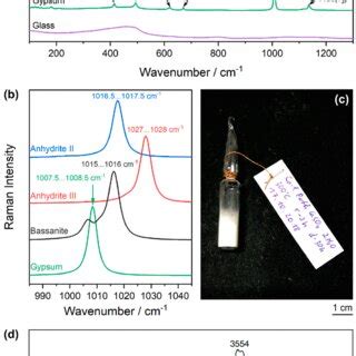 A Raman Spectra Of The Four Phases Of The CaSO4 H2O System Is Stable