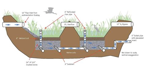 Water Treatment Wetland Design At Margaret Galvez Blog