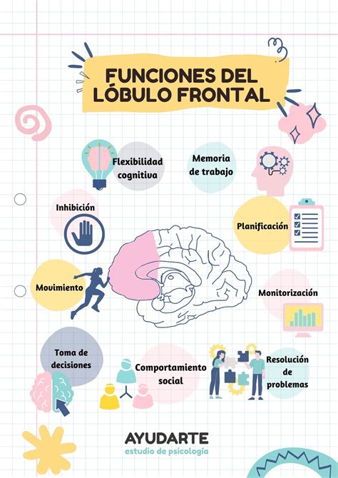 Certificado trabajo físicamente estilo Gobernar vida las funciones de