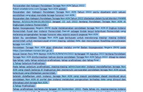 Pesyaratan Dan Kategori Pendataan Tenaga Non ASN