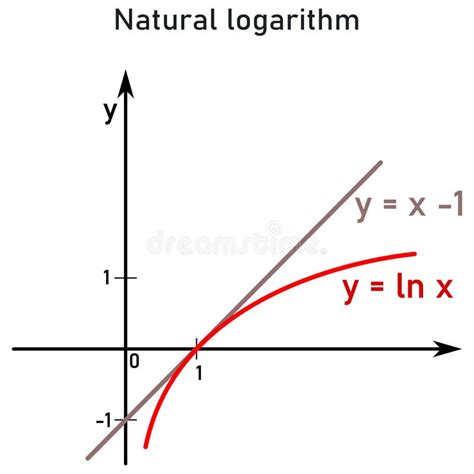 Una Representación Gráfica Del Logaritmo Natural En Comparación Con Su