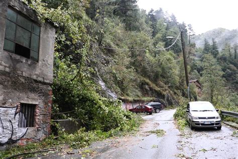 Emergenza Maltempo In Toscana Allagamenti E Alberi Caduti Danni Ai