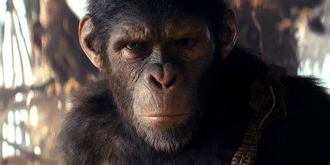 Kingdom Of The Planet Of The Apes Unveils New Images Is Set 300 Years