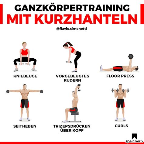 Ganzkörpertraining mit Kurzhanteln Ganzkörpertraining Oberkörper