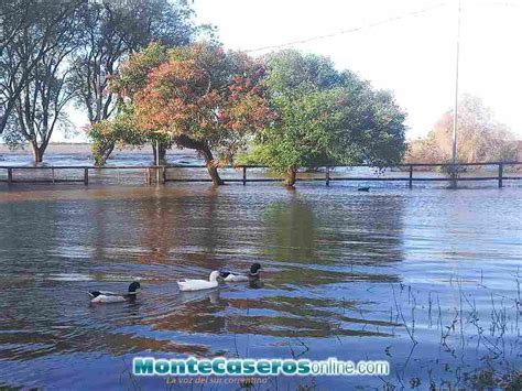 El Río Uruguay frente al puerto local continúa bajando y está en 8 32
