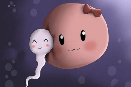Hình ảnh tinh trùng vón cục tinh trùng loãng và bình thường ở nam giới