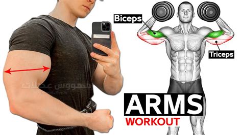 How To Build Your Arms Fast Biceps And Triceps