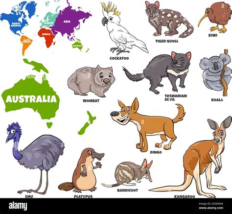 Illustration P Dagogique De L Ensemble Des Animaux Australiens Et Carte