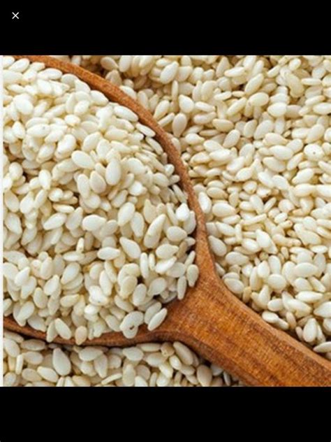 Biji Wijen Putih White Sesame Repack 100 Gr Gram Lazada Indonesia