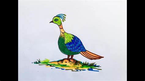 How To Draw Danphe National Bird Of Nepal YouTube