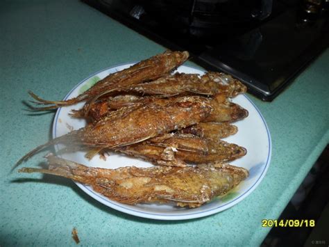油炸小酥鱼 小酥鱼 带鱼酥鱼 第7页 大山谷图库
