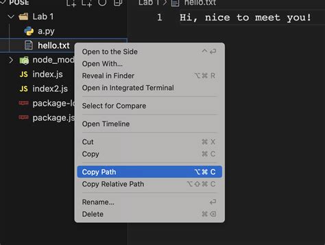 github no such file or directory error in vscode when the txt file is in the same folder as