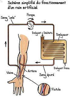 Informations Dialyse Association De Dialyse Varoise