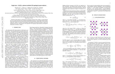 Prediction Of Superconductivity And Topological Aspects In Single Layer