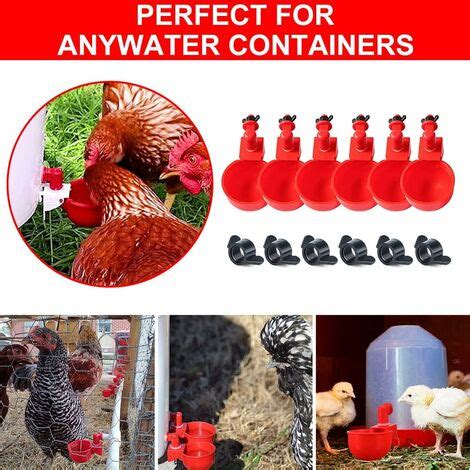 Pcs Automatiques Supplies Abreuvoir Poules Tasses Bol Bol En