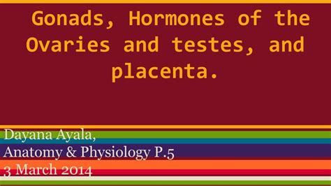 Gonads Hormones Of The Ovaries And Testes And Placenta Ppt Download