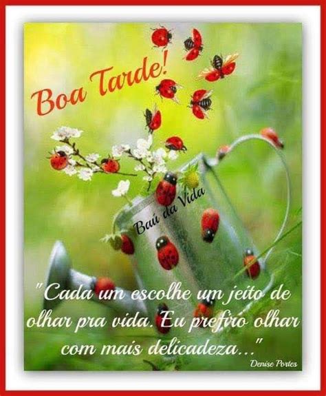 Boa Tarde Mensagens ImagensBomDia Net