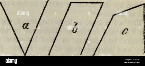Stepsis Full Telegraph