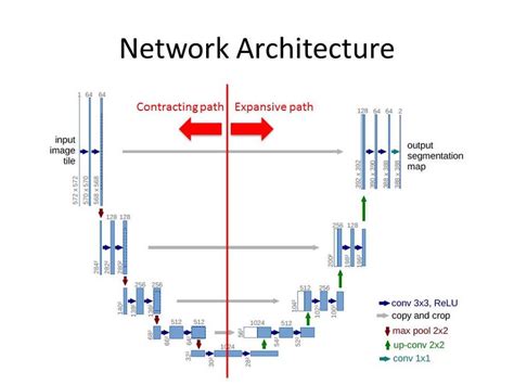 u net convolutional networks for biomedical image segmentation