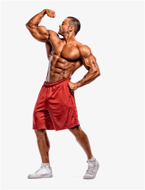 Detail Bodybuilder Png Koleksi Nomer 6