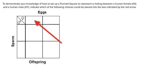 solved to demonstrate your knowledge of how to set up a