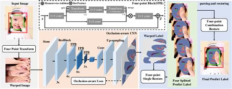 figure 1 from occlusion aware deep convolutional neural network via homogeneous tanh transforms