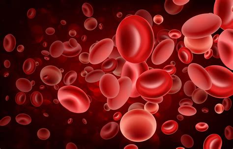 Blood Types Physiology ABO And Rh Blood Groups Interactive Biology