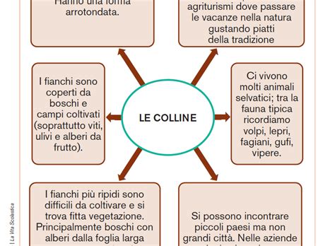 Geografia Iii Mappa Concettuale Collina Porn Sex Picture