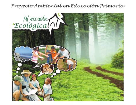 Acciones F Ciles Para Cuidar El Medio Ambiente En La Escuela