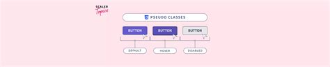 Pseudo Classes In Css Scaler Topics