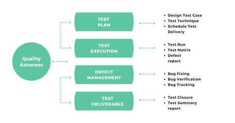 roles and responsibilities of qa in software development