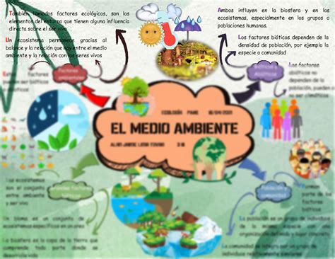 Arriba 56 Imagen Un Mapa Mental Del Medio Ambiente Abzlocal Mx