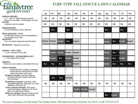 Pin By Manny On Backyard Tall Fescue Fescue Tall Fescue Lawn
