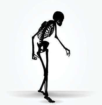 Skeleton Silhouette In Old Walk Pose Sketch Graphic Pose Vector Sketch