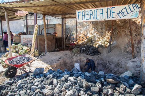 Oaxaca es nombrada como la mejor ciudad turística del mundo
