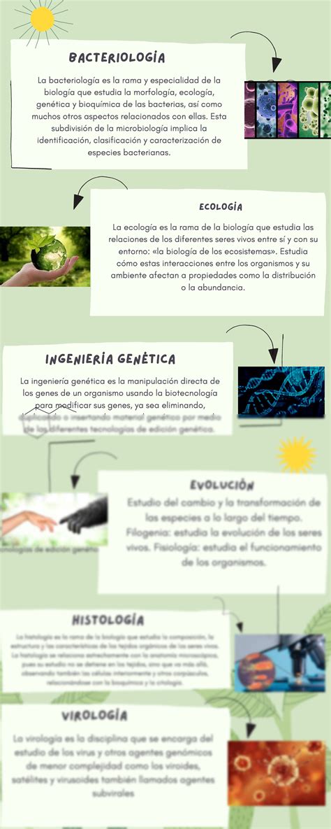 SOLUTION Ramas De La Biolog A Studypool